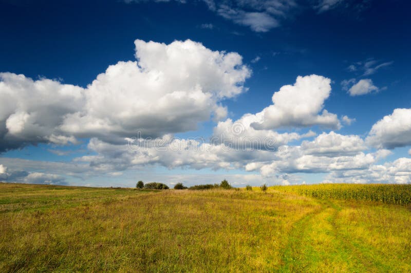 Wild Grass Field in Autumn stock image. Image of horizon - 34119259