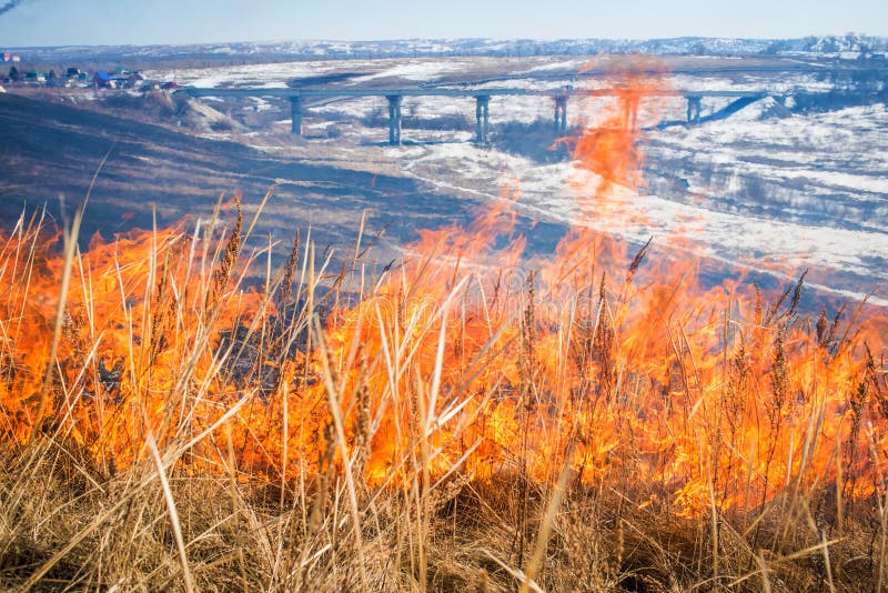Wild grass on fire stock image. Image of yellow, combustion - 65850423
