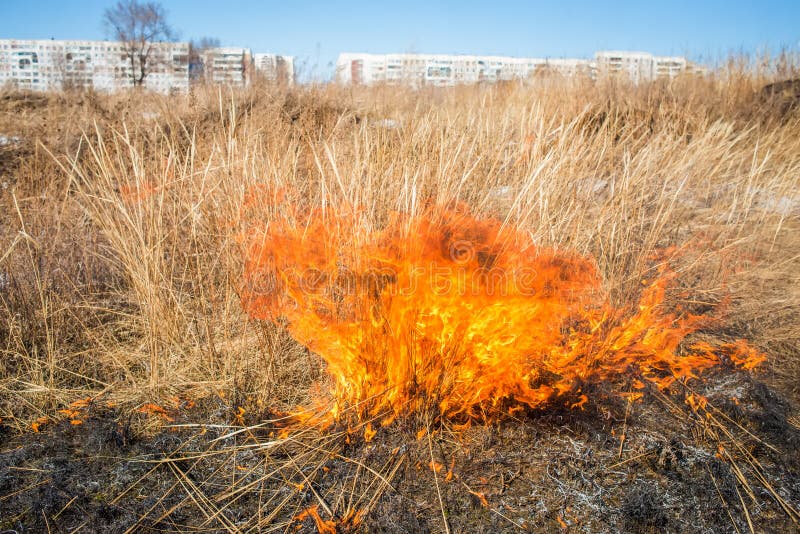 Grass Fire stock image. Image of stubble, cover, wildfire - 25246963