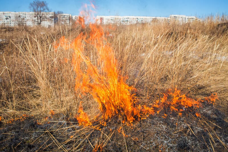 Grass Fire stock image. Image of stubble, cover, wildfire - 25246963