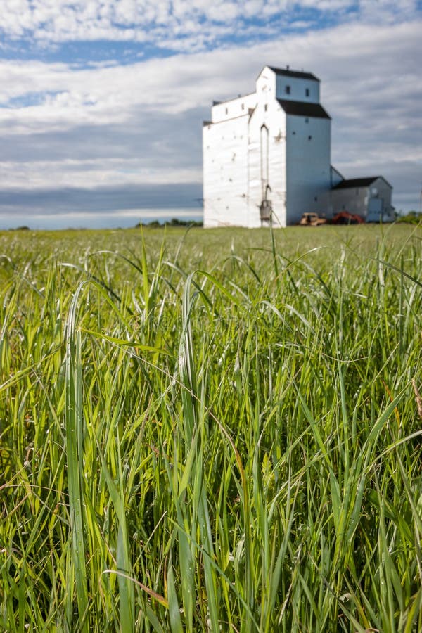 Wild Grass and Grain Elevator on Canadian Prairie Stock Image - Image ...