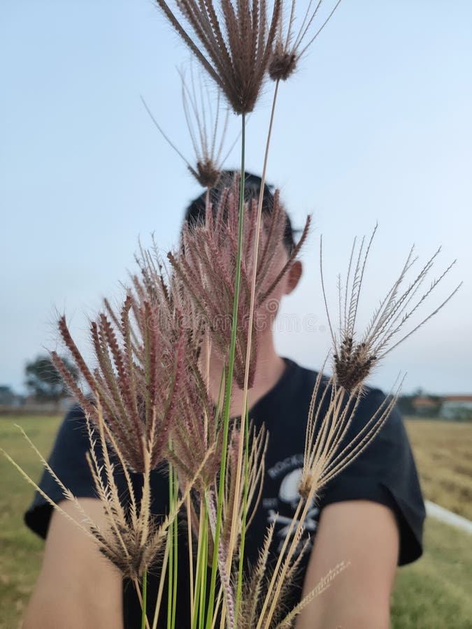 Wild Grass in the Grasp of a Mysterious Person Stock Image - Image of ...