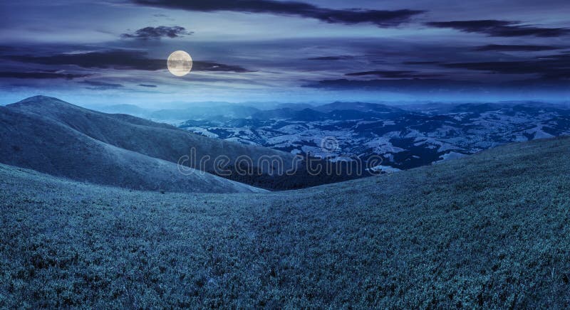 Wild Grass on Mountain Top at Night Stock Photo - Image of earth ...