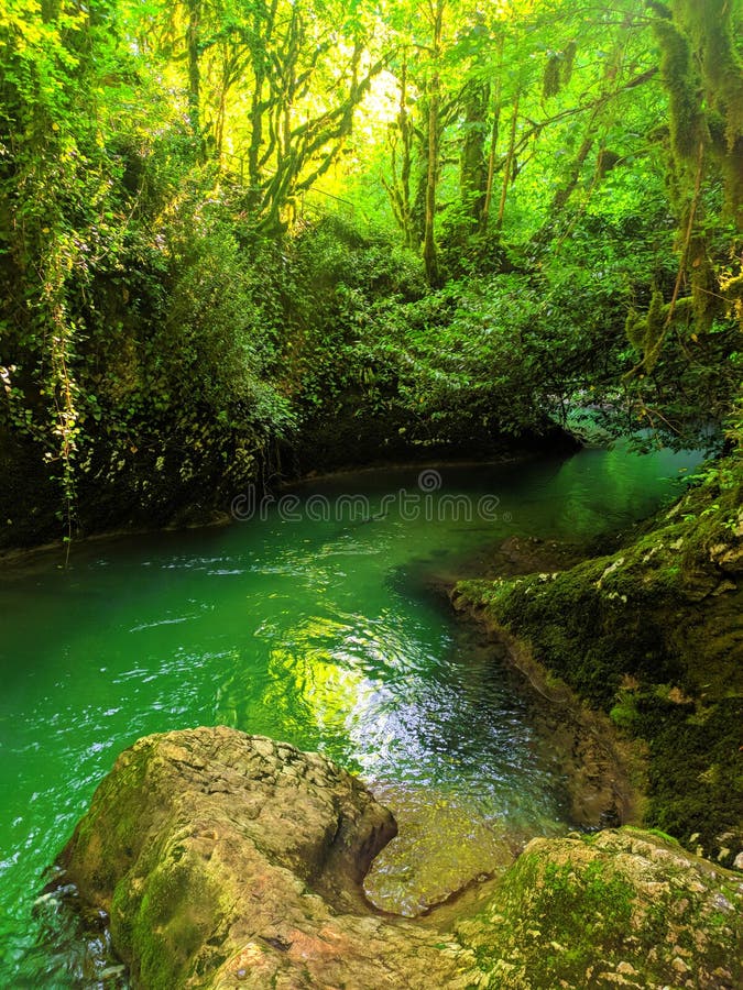 Wild Green Forest and Mountain River Stock Photo - Image of reflection ...