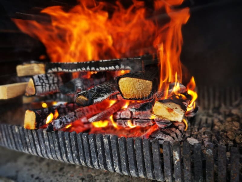 Wild grill fire stock image. Image of cooking, dish - 230759673