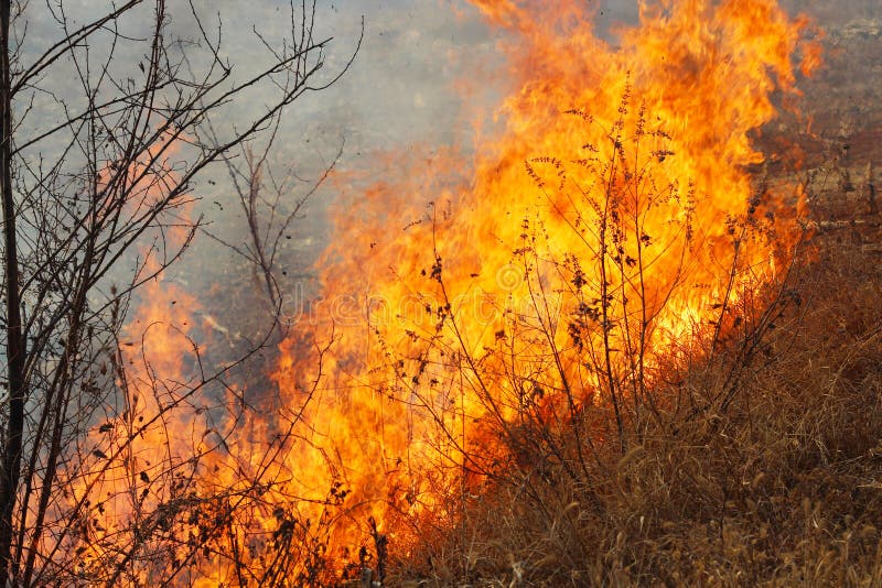 26,205 Ground Fire Stock Photos - Free & Royalty-Free Stock Photos from ...