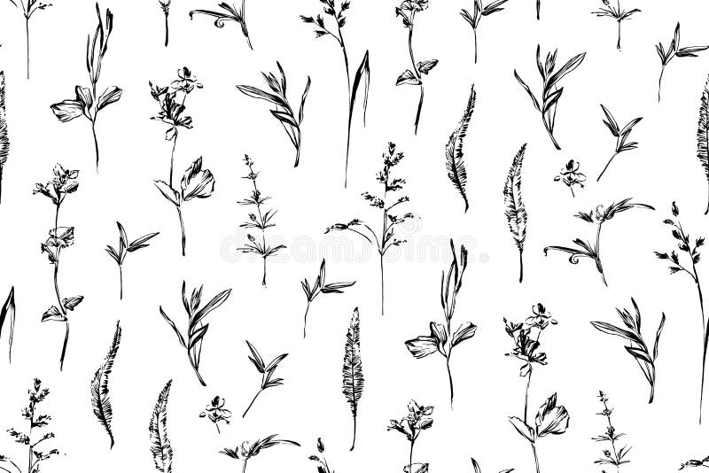 Wild Herbs Hand Drawn Seamless Pattern. Wildflower Plants Painted by ...
