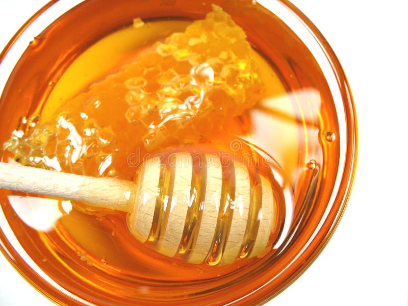 Wild honey stock photo. Image of natural, eating, food - 3877438