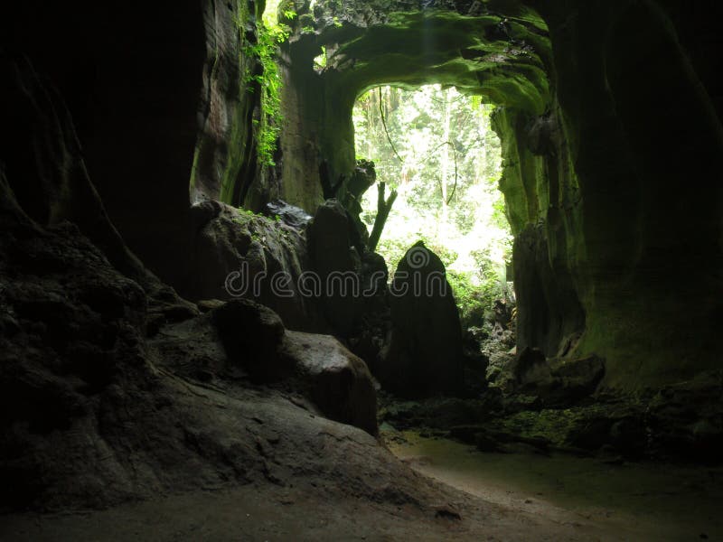 Wild jungle cave stock photo. Image of brown, trekking - 10927528