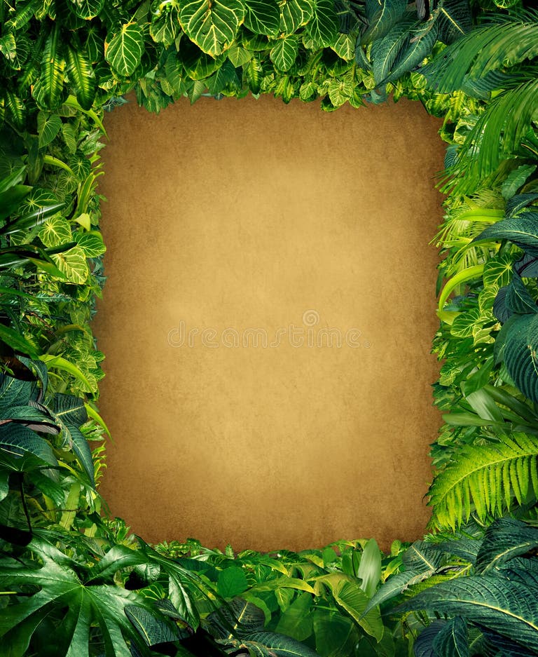 Lush Tropical Jungle Frame Stock Illustrations – 10,830 Lush Tropical ...