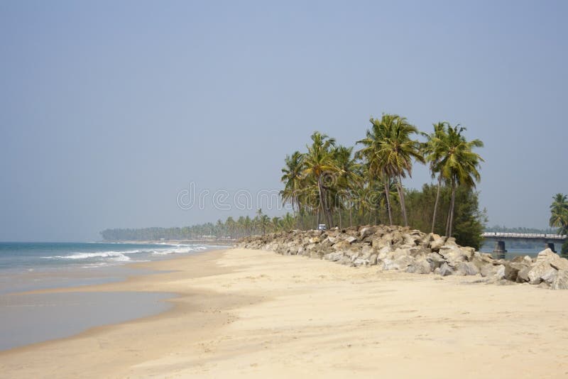 Wild Kappil beach. stock image. Image of coastline, tree - 34305341