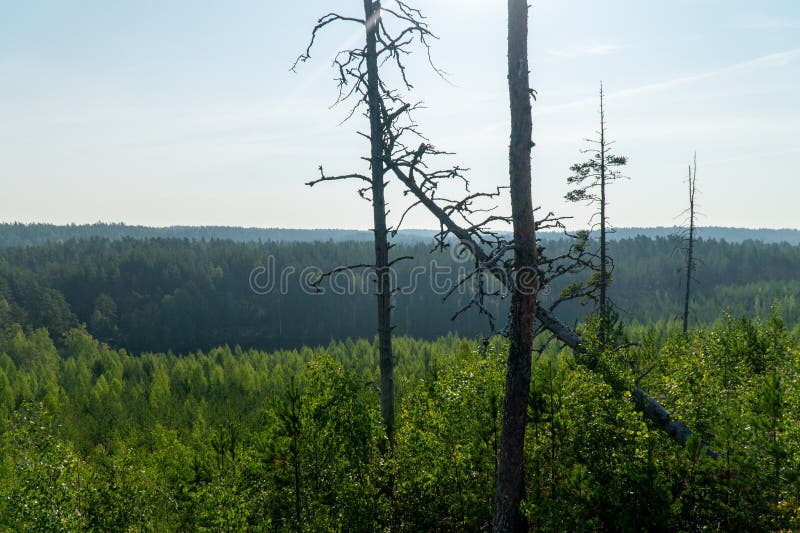 Wild Karelian Landscape Forest Mountain Stock Image - Image of ...