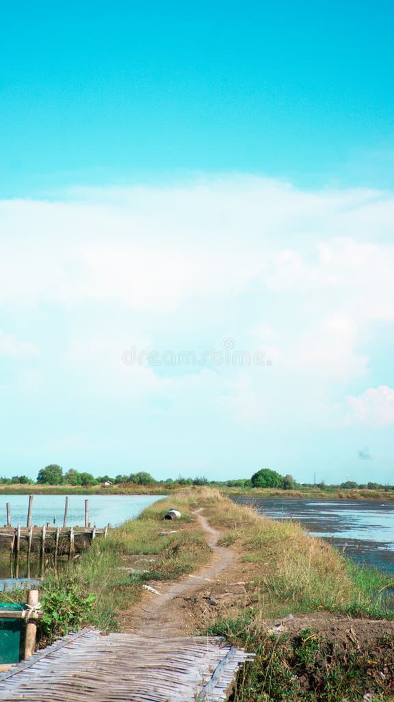 Into the Wild on Lake Footpath Blue Sky Cloud Stock Photo - Image of ...