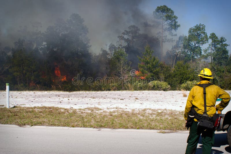 Wild Land Fire stock image. Image of forestry, vegitation - 37707477