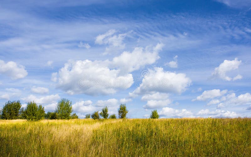 Wild landscape stock photo. Image of road, forest, plants - 15830126