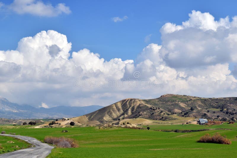 Wild landscape in Cyprus. stock photo. Image of flower - 66580492