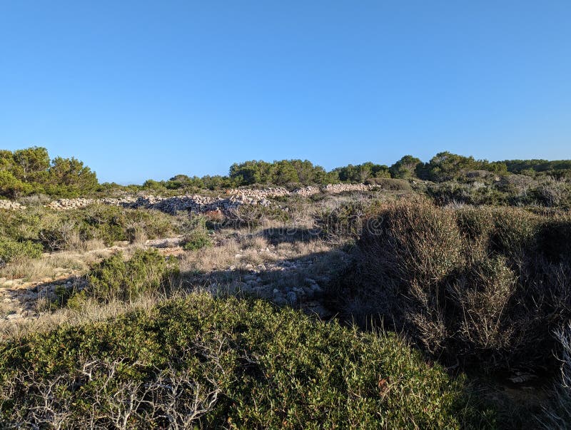 The Wild Landscape in Menorca Stock Image - Image of flower, terrain ...