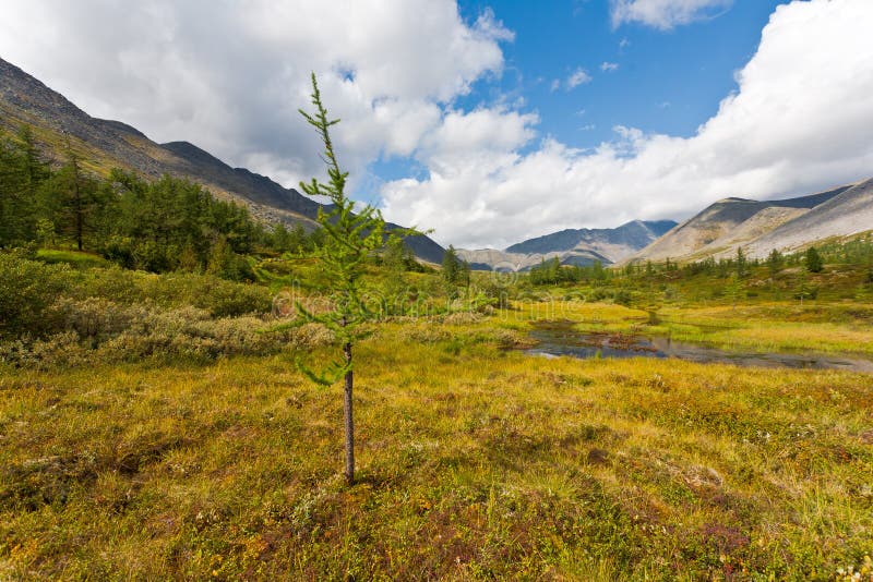 Wild Landscape in Ural Mountains. Stock Image - Image of river, green ...