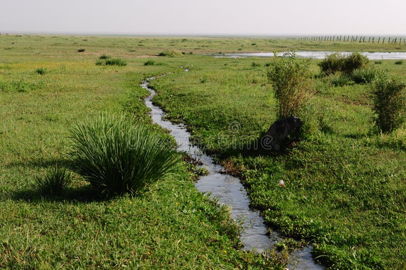 Wild landscapes stock photo. Image of agriculture, garden - 22241094
