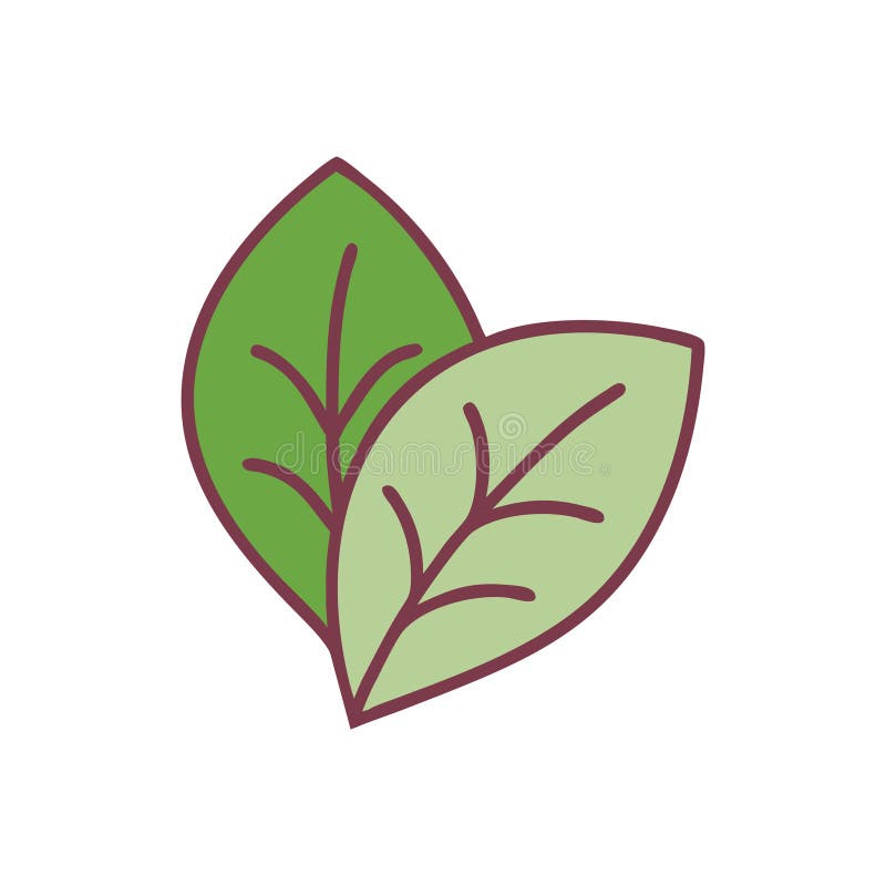 Wild Leaf Botanical Illustration Stock Vector - Illustration of plant ...