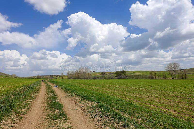 Wild Life Path, Land Road Stabilized Road, Nature and Curvy Country ...