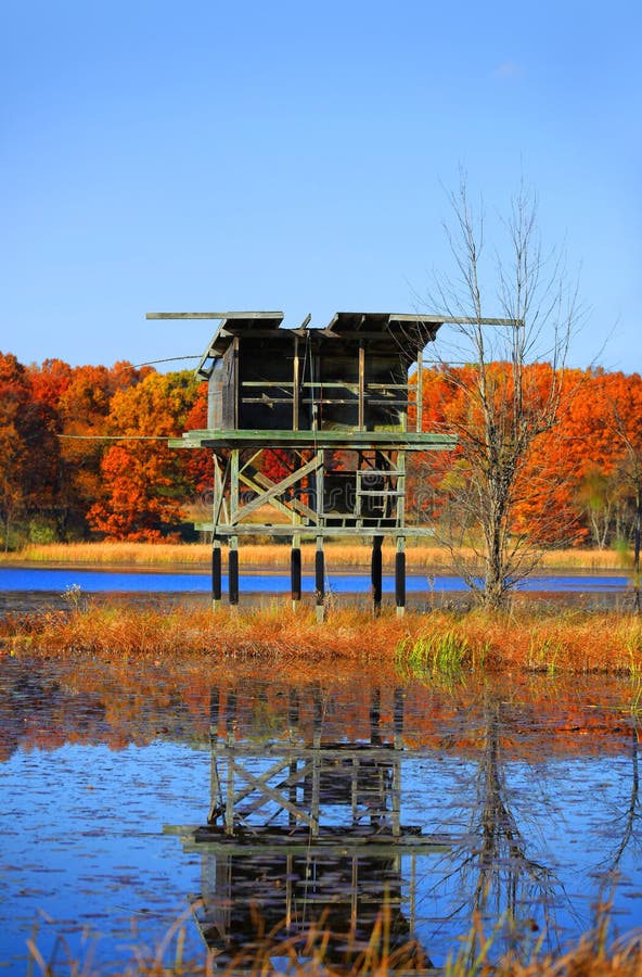 Wild life viewing platform stock photo. Image of park - 44024386