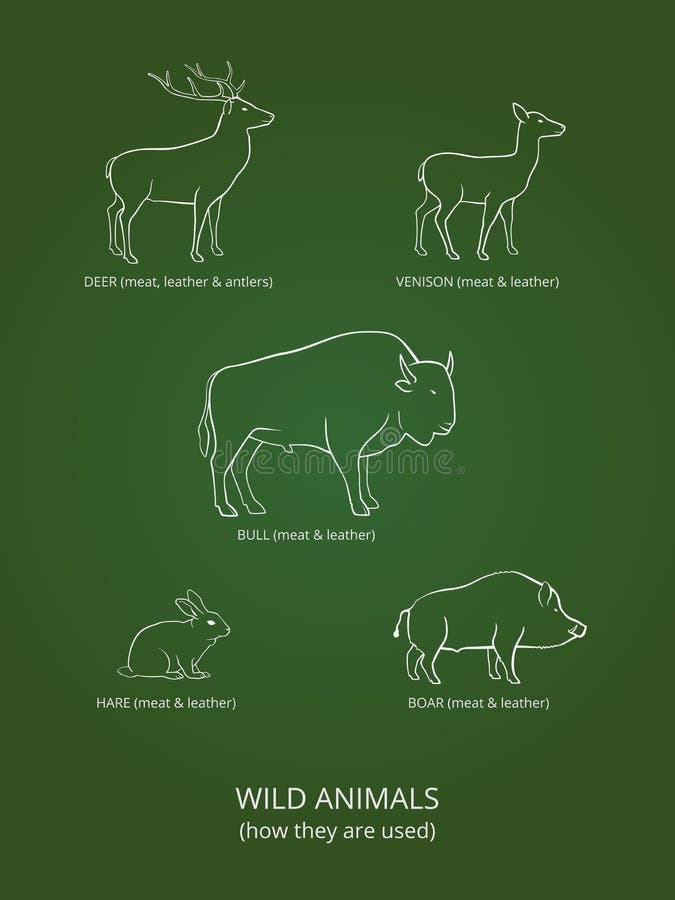 Wild live animals poster stock vector. Illustration of green - 52469177