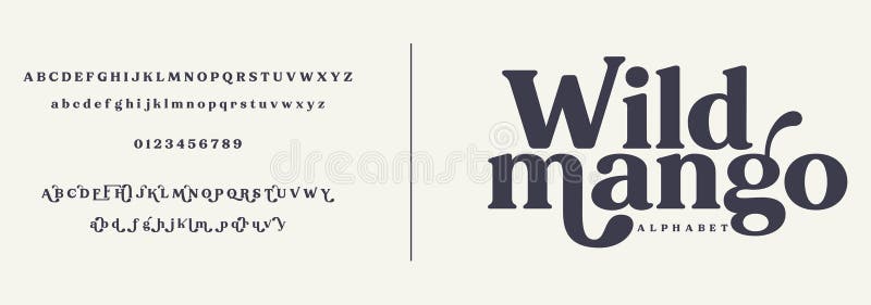Wild Mango Serif, Stylish Display Bold Font Alphabet Vector File ...