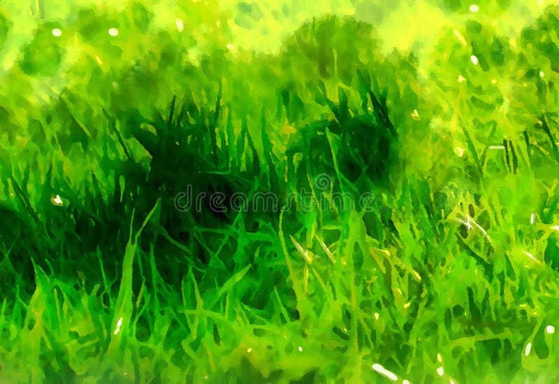 Wild Meadow Grass Structure in Bright Green Tones, Computer Painting ...