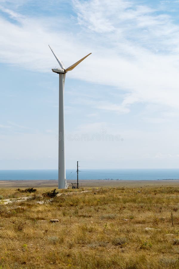 Wild mill in field stock image. Image of environmental - 117643369