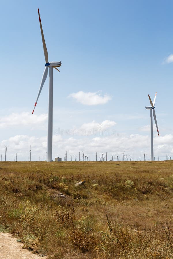 Wild mill in field stock photo. Image of countryside - 118727950