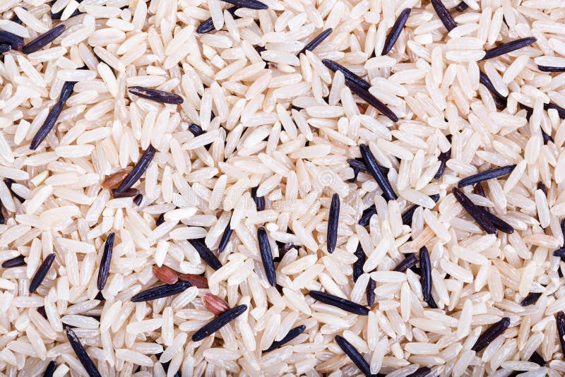 Wild and Mixed Rice Background Stock Image - Image of vegetarian, rice ...