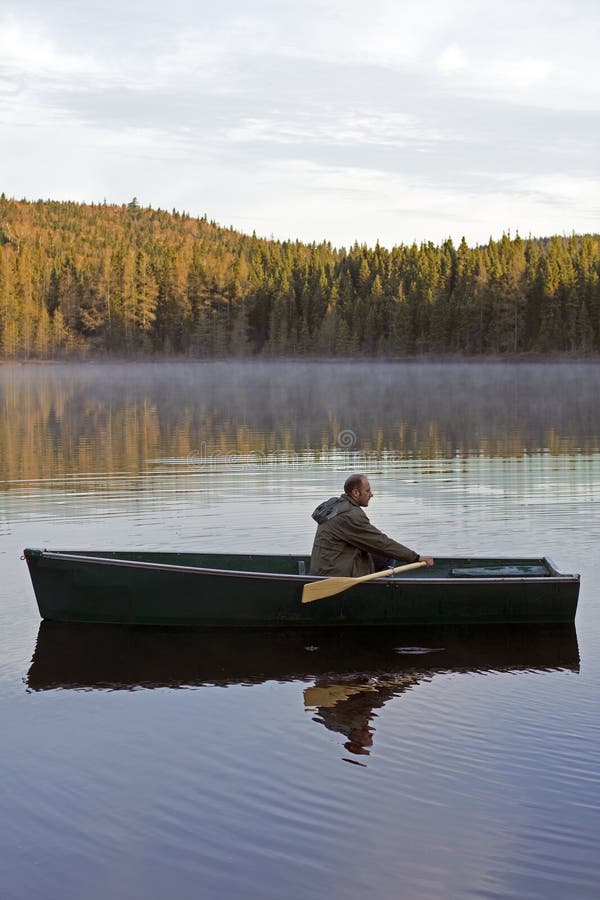 Wild morning lake rowing stock photo. Image of nature - 31030940