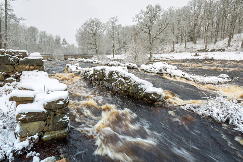 Wild Morrum River in Snowy Winter, Sweden Stock Photo - Image of tree ...
