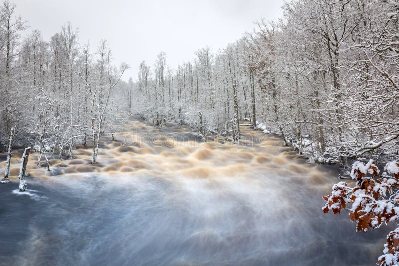Wild Morrum River in Snowy Winter, Sweden Stock Photo - Image of ...