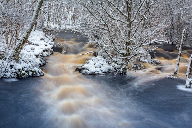 Wild Morrum River in Snowy Winter, Sweden Stock Image - Image of ...