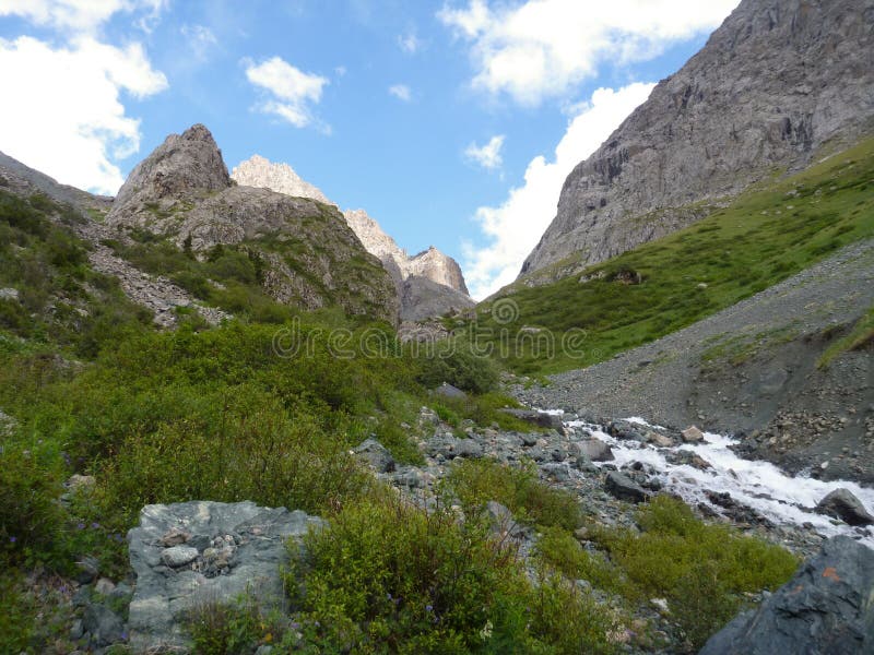Wild Mountain Stream in a Steep Slope Stock Photo - Image of flowing ...