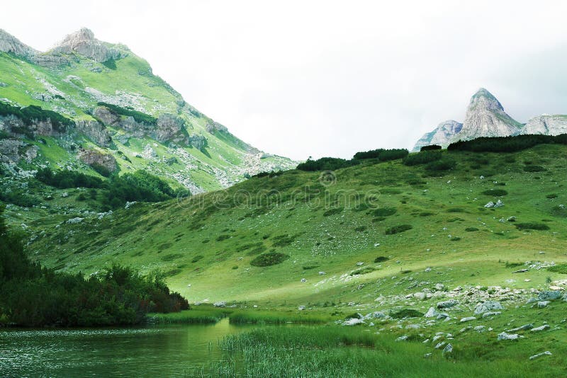 ALASKA BEAUTY stock image. Image of waters, travel, beautiful - 1415535