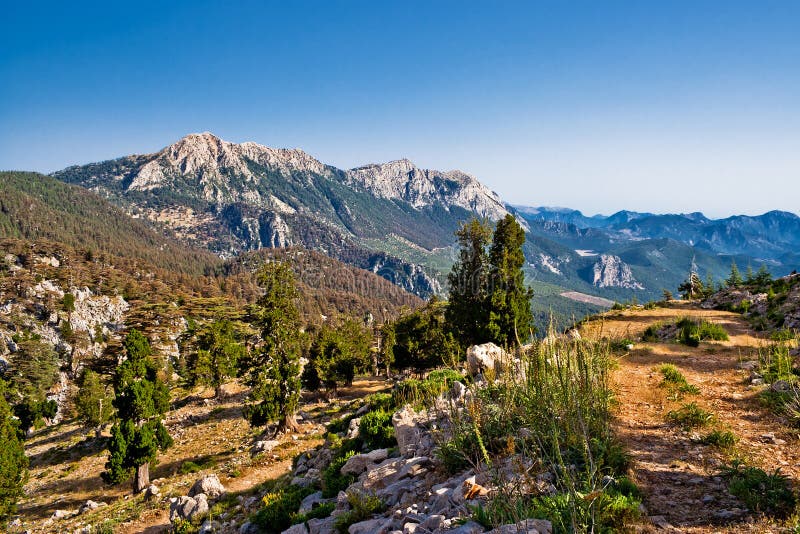Wild mountains stock photo. Image of rockies, mountains - 20796028