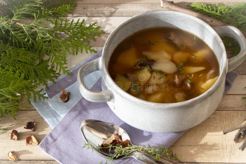 Wild Mushroom Soup and Ingredients, with Dried White Ceps Stock Photo ...