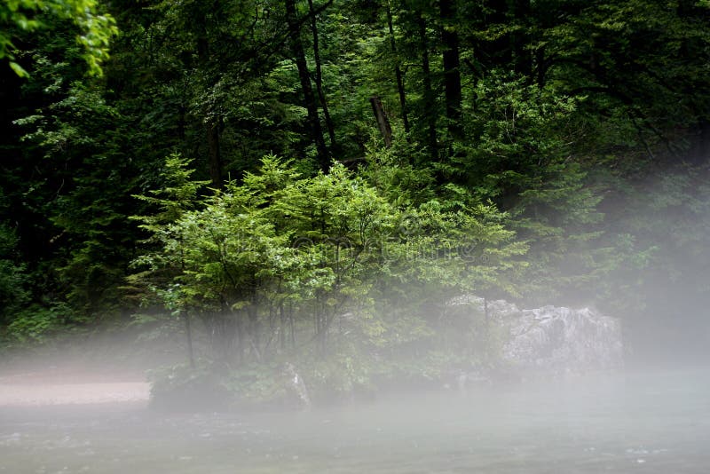 Nature Free Stock Photos & Pictures, Nature Royalty-Free and Public ...