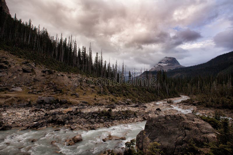 Wild Nature in Rocky Mountains,river and Mountain Stock Photo - Image ...