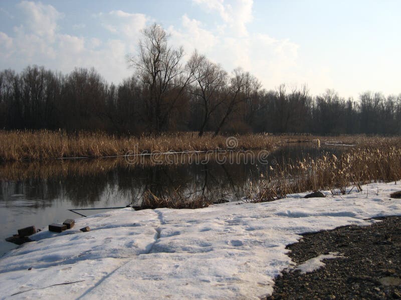 Wild nature spring stock photo. Image of wild, spring - 11976866