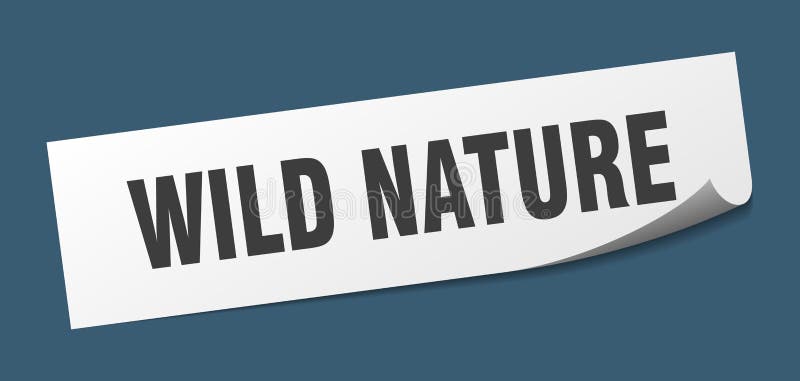 Wild Nature Sticker. Wild Nature Square Isolated Sign Stock Vector ...