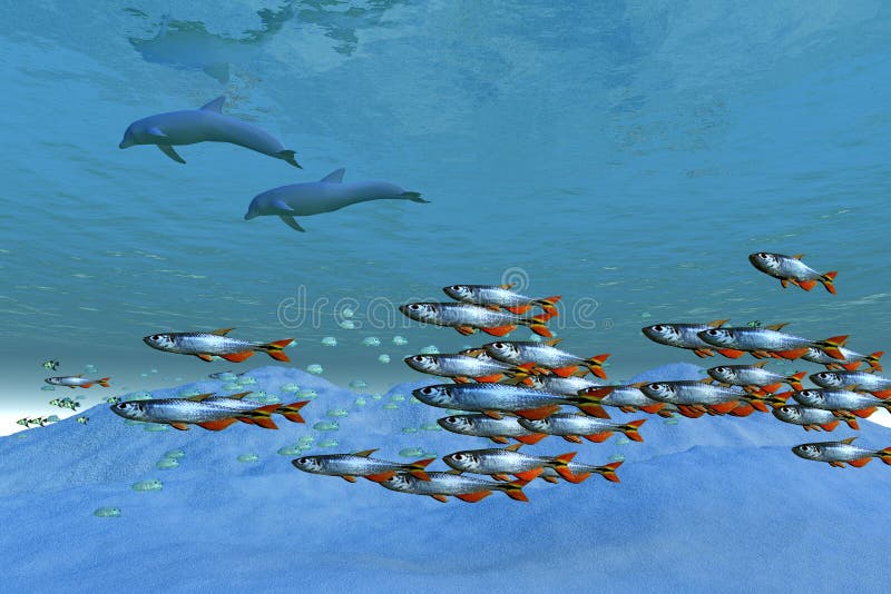 Wild Ocean stock illustration. Illustration of group - 10285572