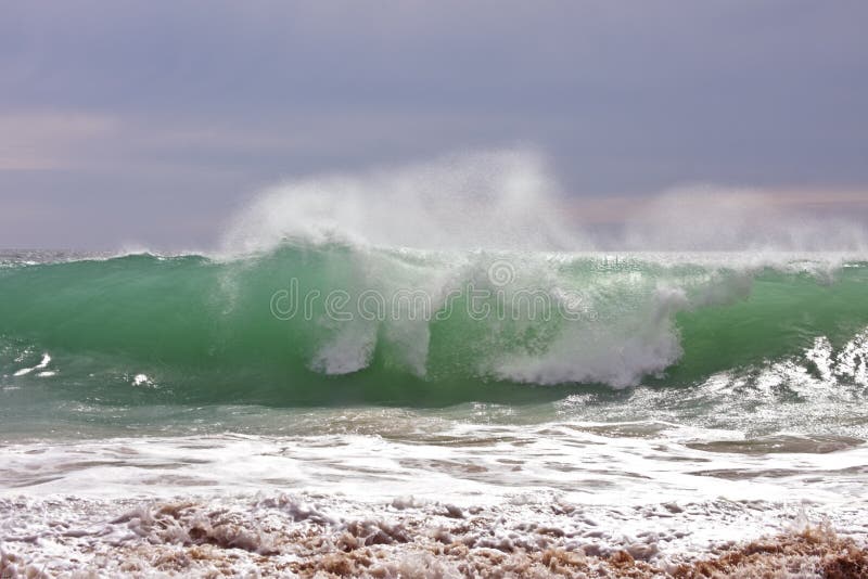 The wild ocean stock photo. Image of seascape, seashore - 49063024