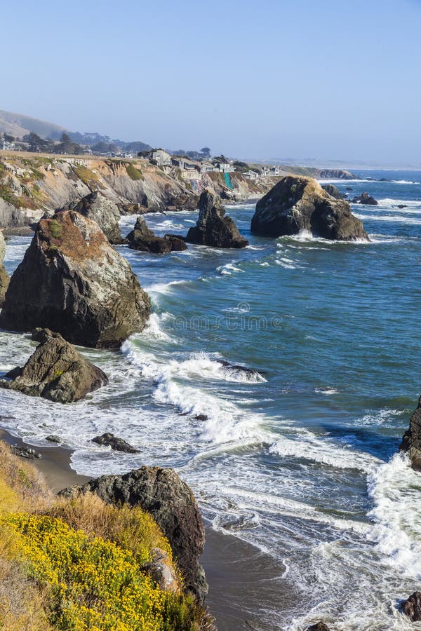 Wild pacific coast stock image. Image of ocean, beach - 111382421