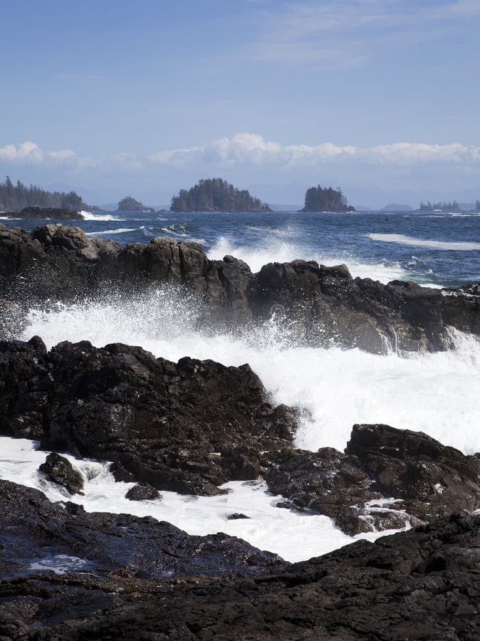 Wild Pacific Trail stock photo. Image of regional, wild - 24567428