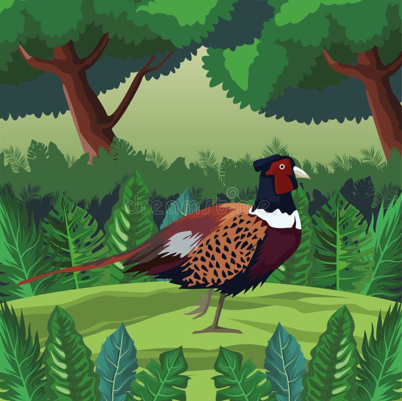 Cartoon Pheasant Bird Flying Stock Illustrations – 75 Cartoon Pheasant ...