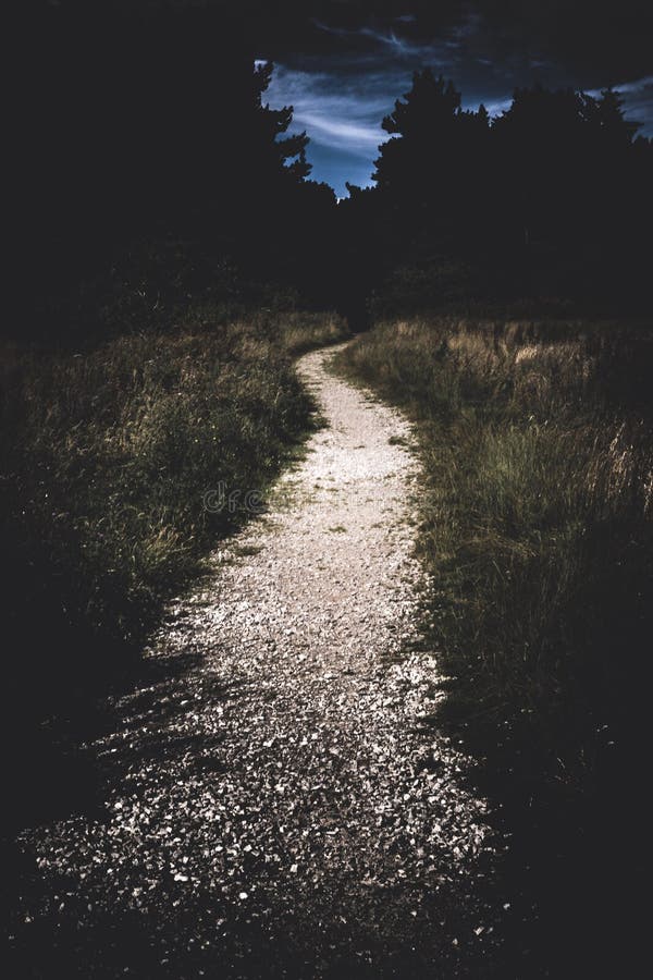 Into the wild stock photo. Image of dark, country, leading - 80816480